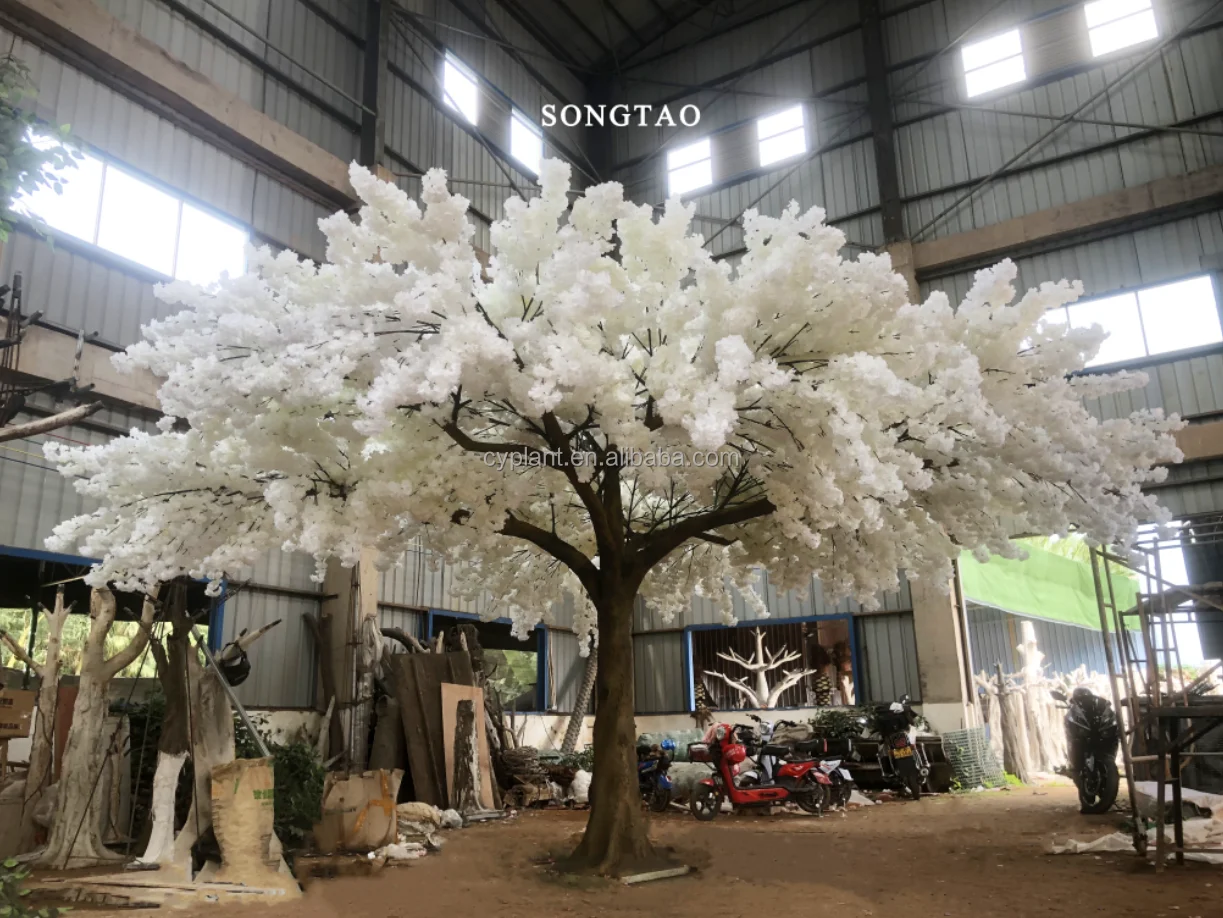 New Products Large Flower Tree 3.3m High And 10m Wide Full Japanese ...
