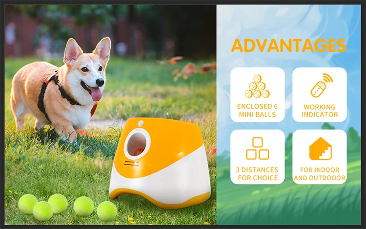 Newly Designed Remote Control Automatic Dog Tennis Ball Launcher With 3 ...