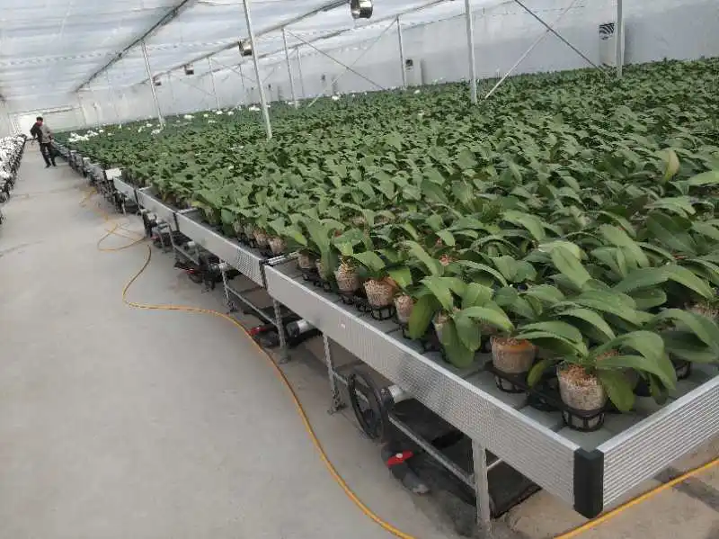 Custom Ebb And Flow Rolling Bench Table Top Benches Commercial Growing ...