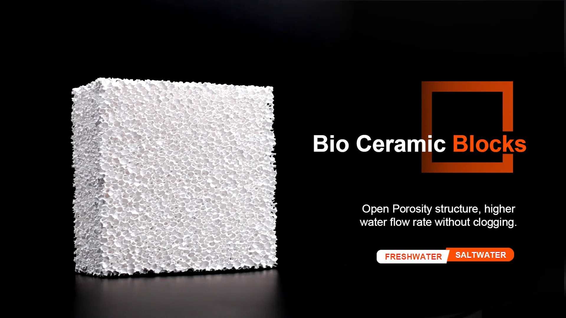 Aquaclean Hot Sale Ammonia And Nitrate Remover Bacterial House Aquarium ...