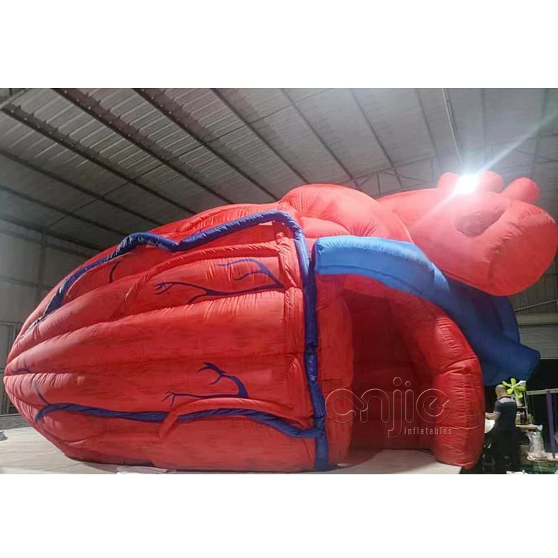 Realistic Inflatable Lungs - Educational Display Balloons