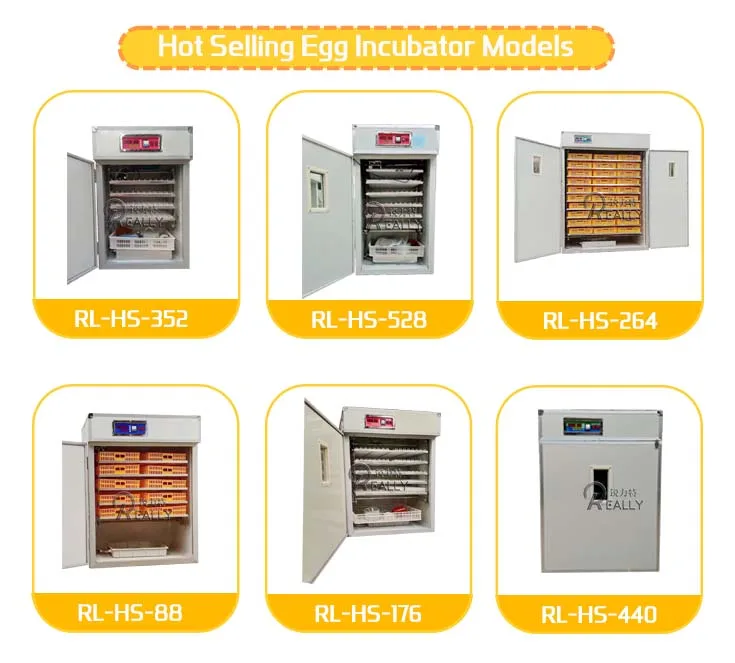 50000 Pcs Egg Incubators - High Productivity & Automatic Turning