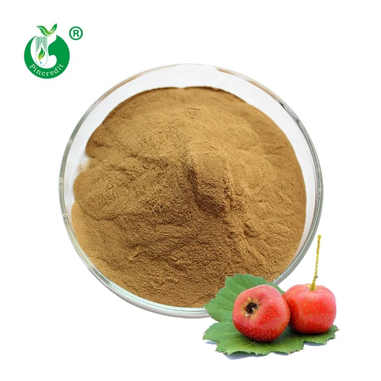Pincredit Supply Free Sample Natural Hawthorn Leaf/berry Extract Powder ...