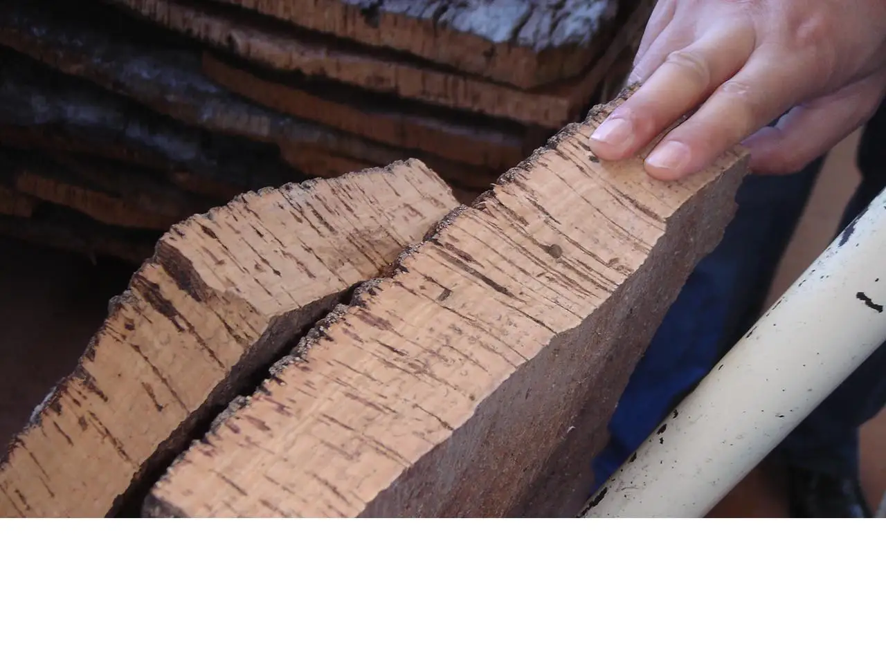 Eco-friendly Natural Cork Floor Tiles - Customized Solutions