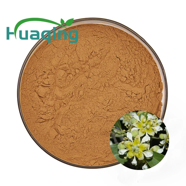 Wholesale Bulk Organic Quillaja Saponaria Bark Extract Soapbark Extract ...