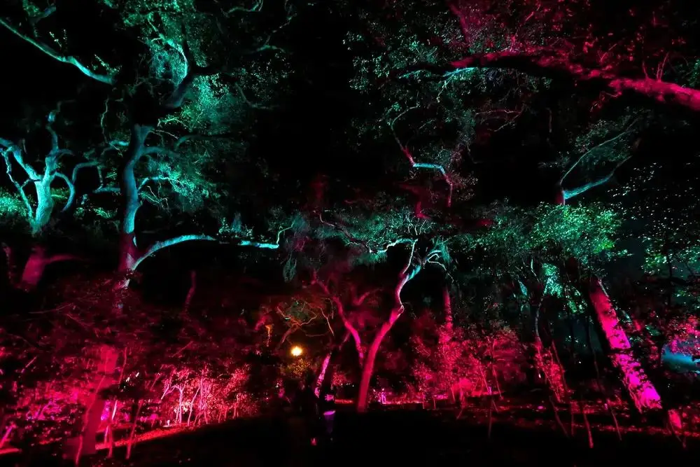 Large 3d Holographic Projector Display Price 3d Led Outdoor Hologram ...