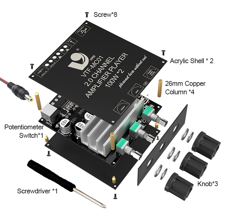 Dual Channel Mini 100W+100W Class D Digital Power AMP Module