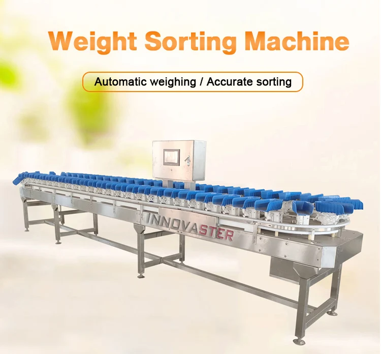 Customizable Auto Weight Grading Sorting Checkweigher Machine for Fish Shrimps Oyster Seafood ...
