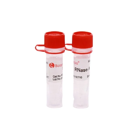Solarbio High Purity Reagents Rnase A Solution(10mg/ml) Cas 9001-99-4 ...