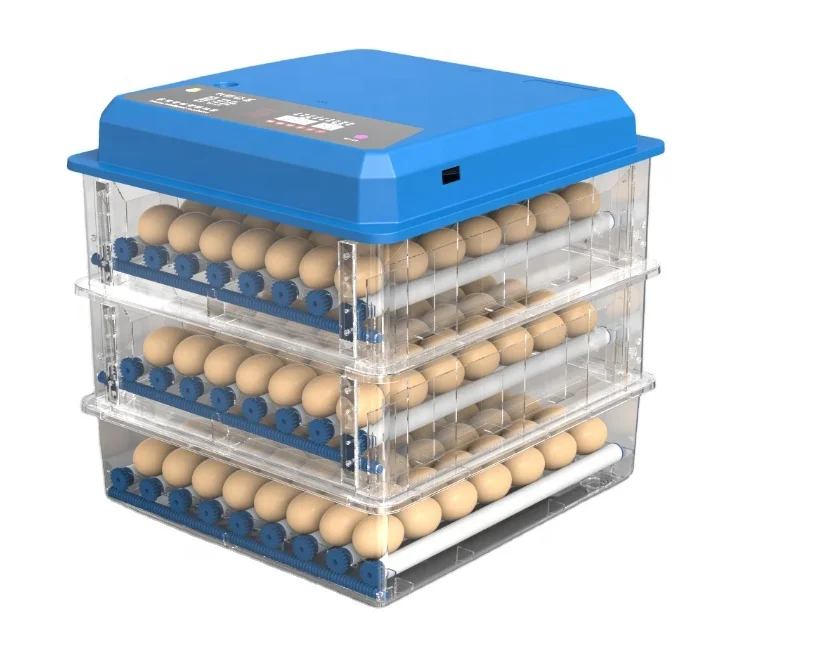 Mini Dual Power Automatic Egg Turning 204 Pcs Incubator With Low Price ...