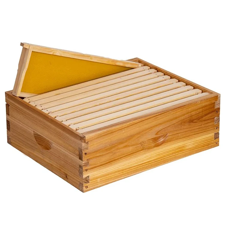 Bee Box 8 10 Frames Langstroth Beehives - Honey Bee Hive Box
