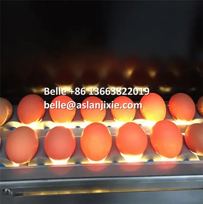 Multifunctional Egg Processing Equipment Egg Grading Machine Duck Egg Sorting Classifier Machine ...