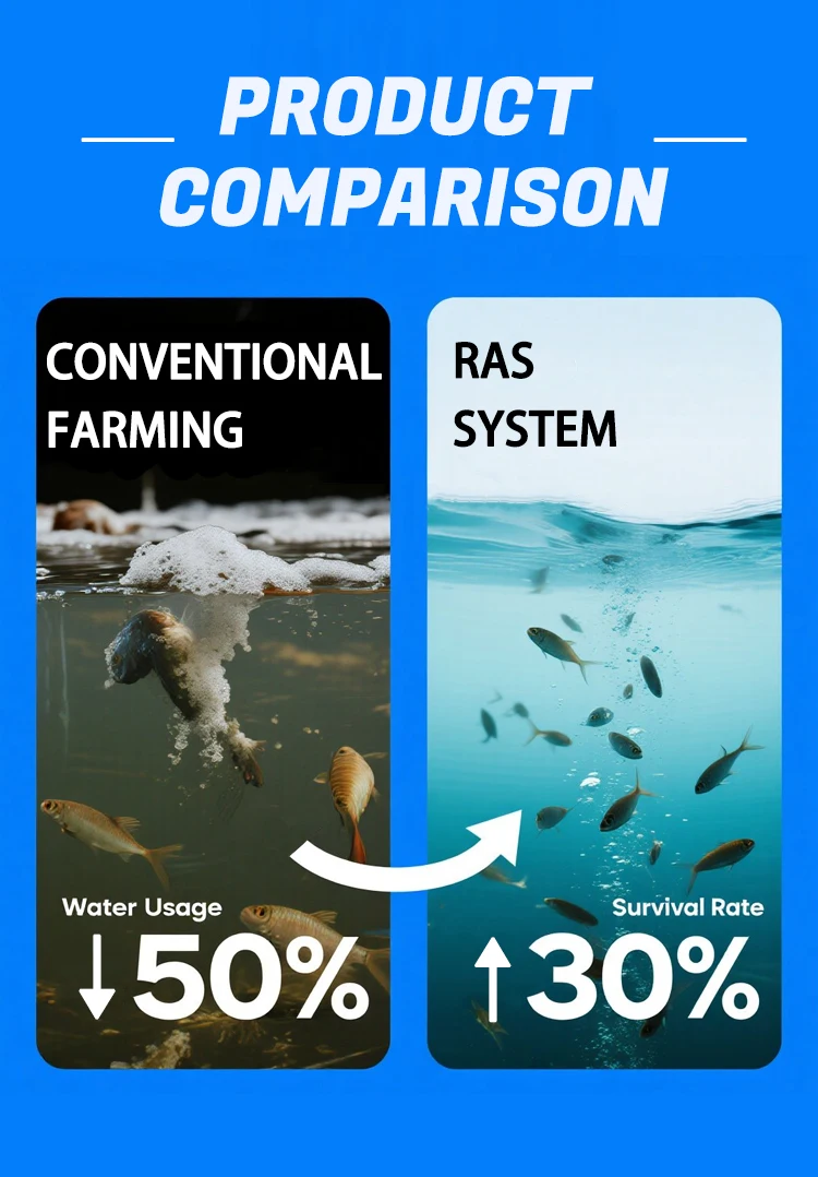 Ras System Aquaculture Equipment for Shrimp Tilapia Fish Farming in ...