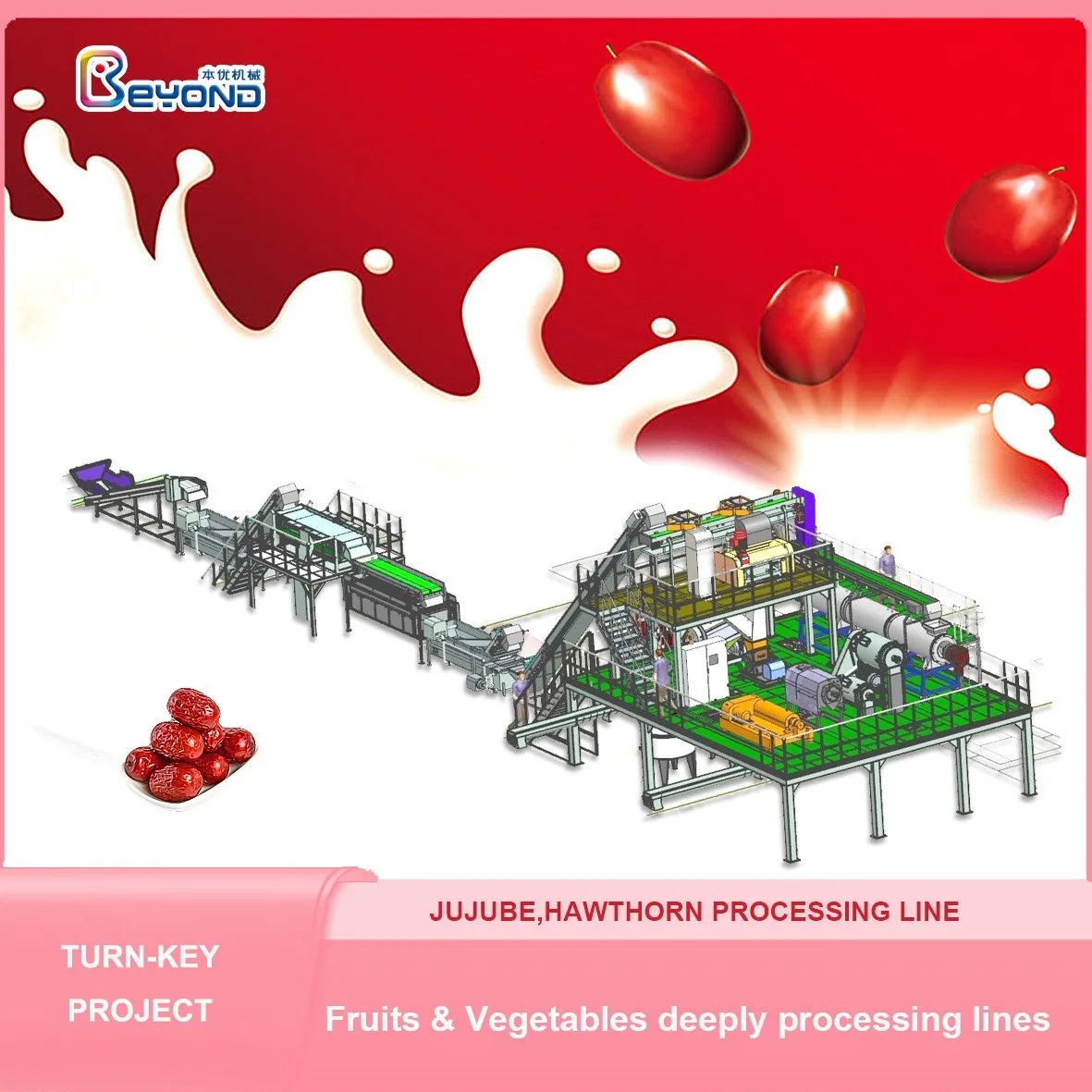 Palm Dates Processing Line - Efficient & Automatic Solutions