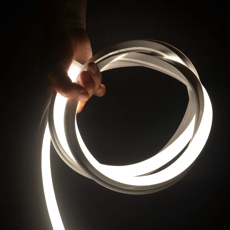 SHINESKY 3D Bending Neon Strip LED Flexible Silicone IP67 Waterproof ...