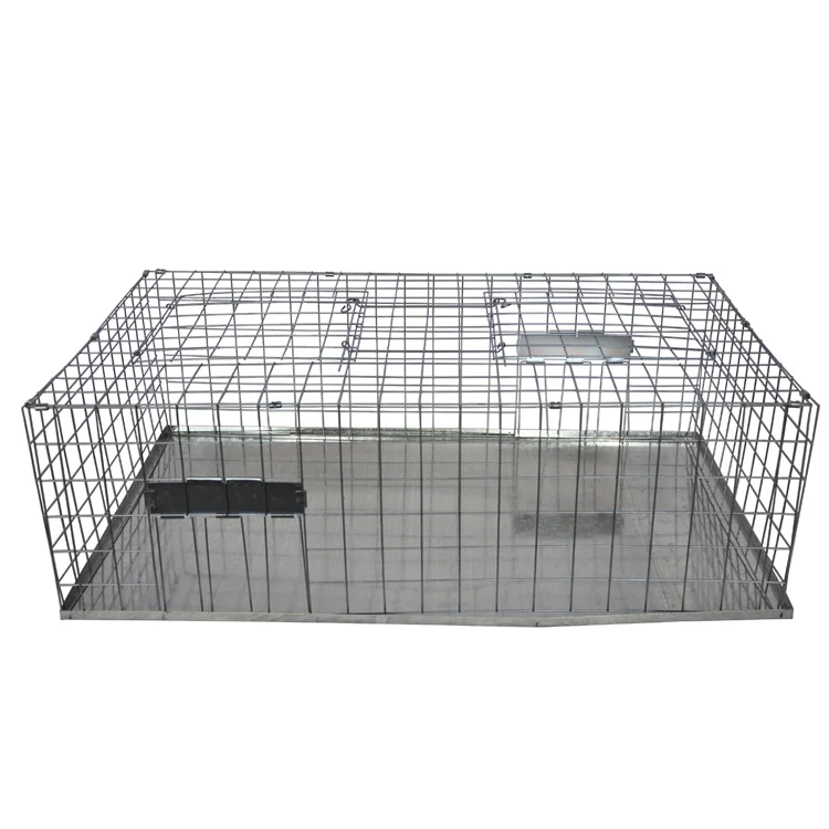 Multi Catch Live Bird Traps Cages Metal Catch Bird Pigeon Trap Cages ...