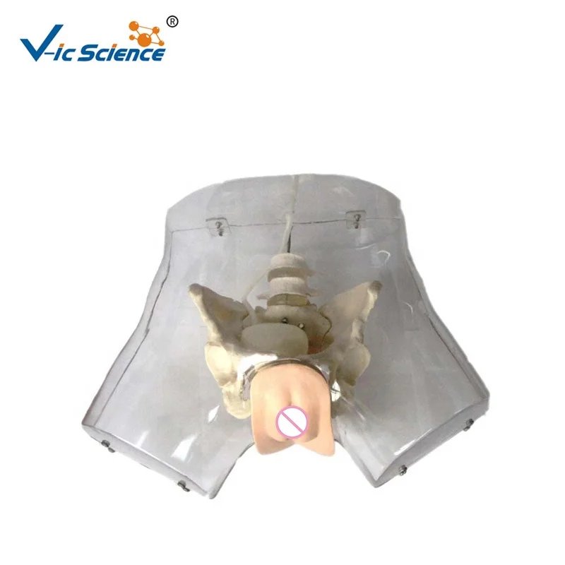 Medical Science Nursing Manikin Mannequins Simulators For Medical ...