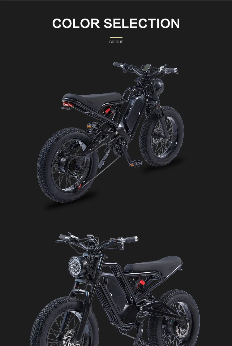 2023 Fatbike V20 Electric Fat E Bike Aluminum Upgrade Ebike 250w 750w ...