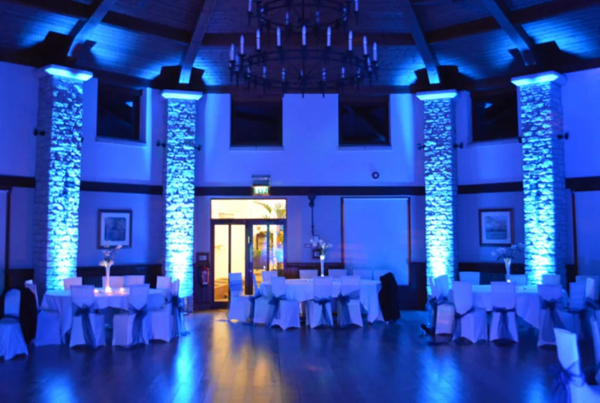 Marslite 6x18 LED Wireless Battery Uplight for Weddings & Parties ...