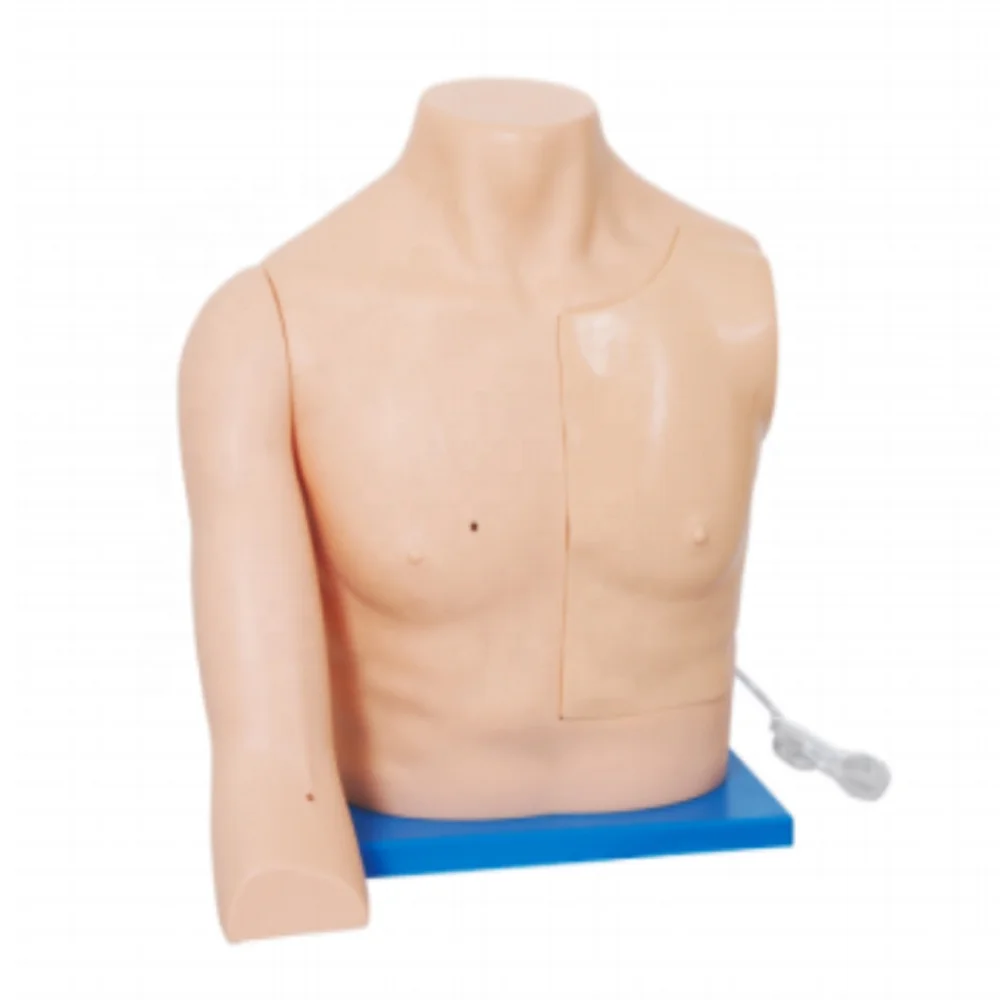 Venous Intervention Training Model Intravenous Puncture Medical Skills ...