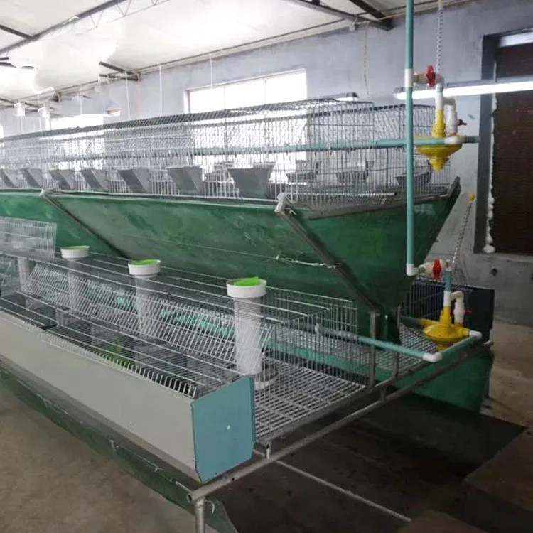 Chicken Farming Chicken Farming Ventilation System Pet Indoor Rabbit ...