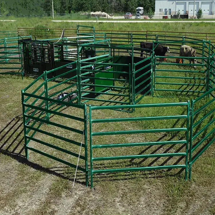 Galvanized Metal Sheep Yard Fence 6 Bar Oval Pipes Livestock Fence ...