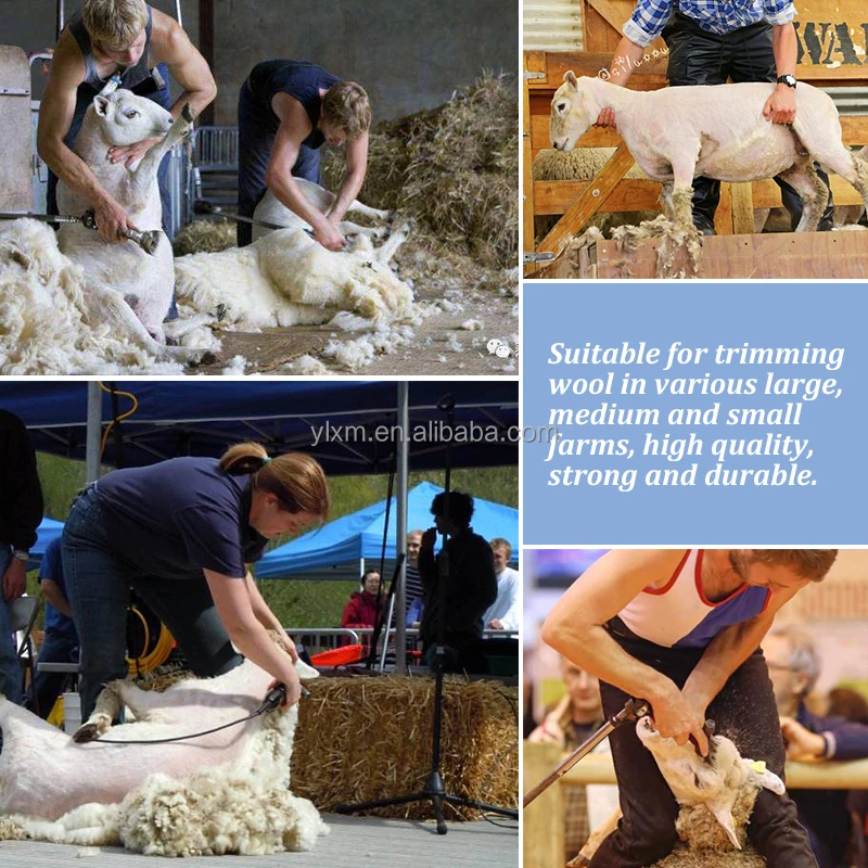 Professional Supplier Electric Sheep Wool Shearing Machine Spare Part ...