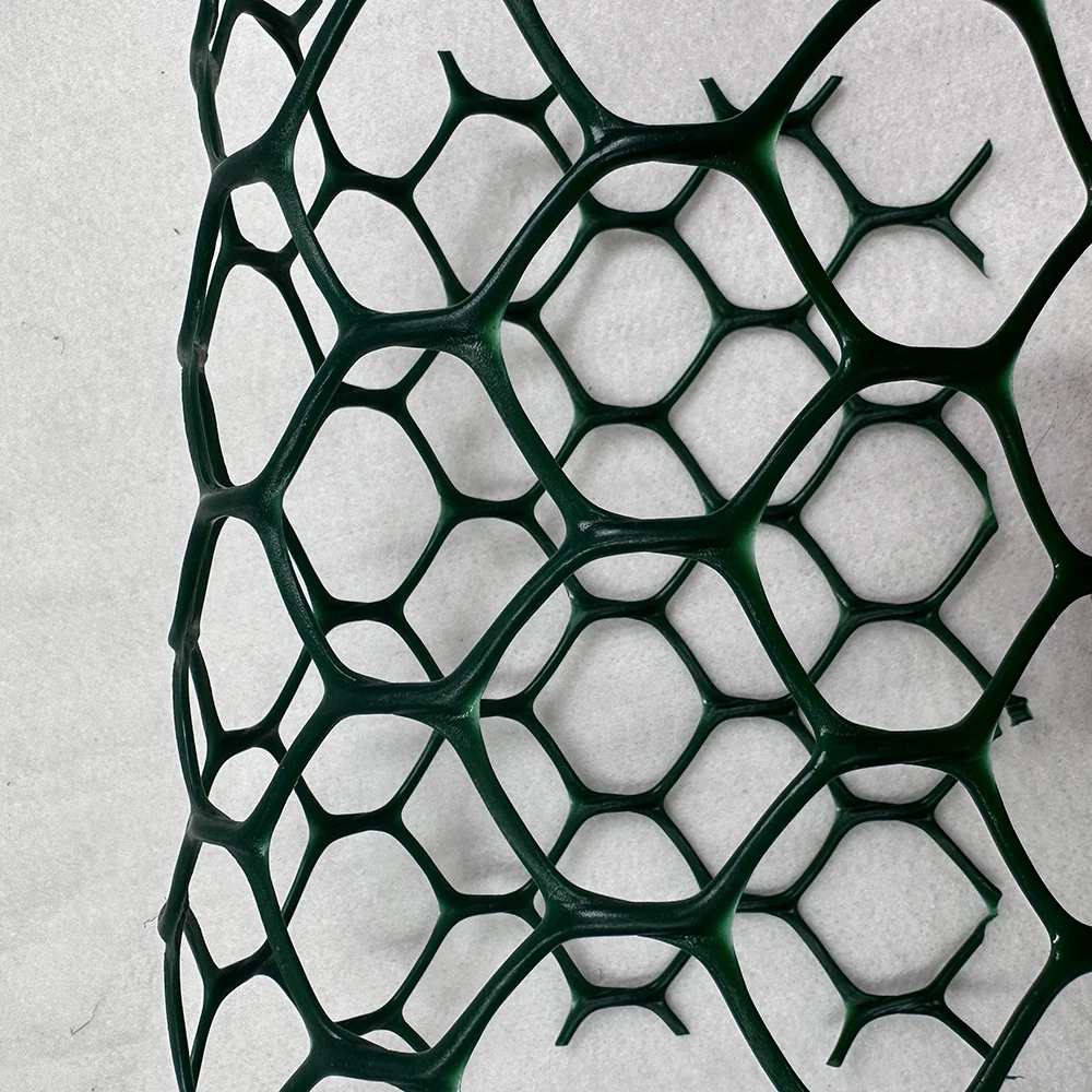 HDPE Geonet Reinforcement Plastic Meshes for Slope Protection