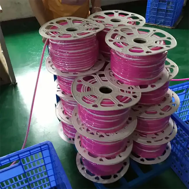 HD Neon Flex - 12V LED Lights for Landscape Advertising