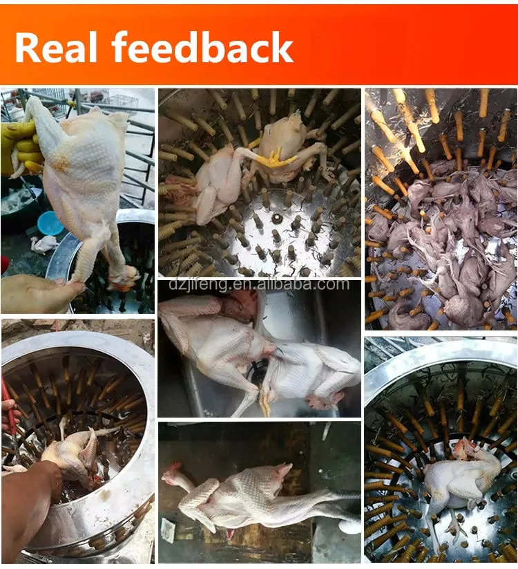 Portable Quail Feather Plucker - Efficient & Durable