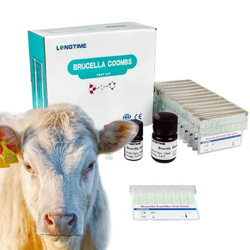 Longtime Brucella Antigen Rapid Test Card Quick Test Brucellosis For ...