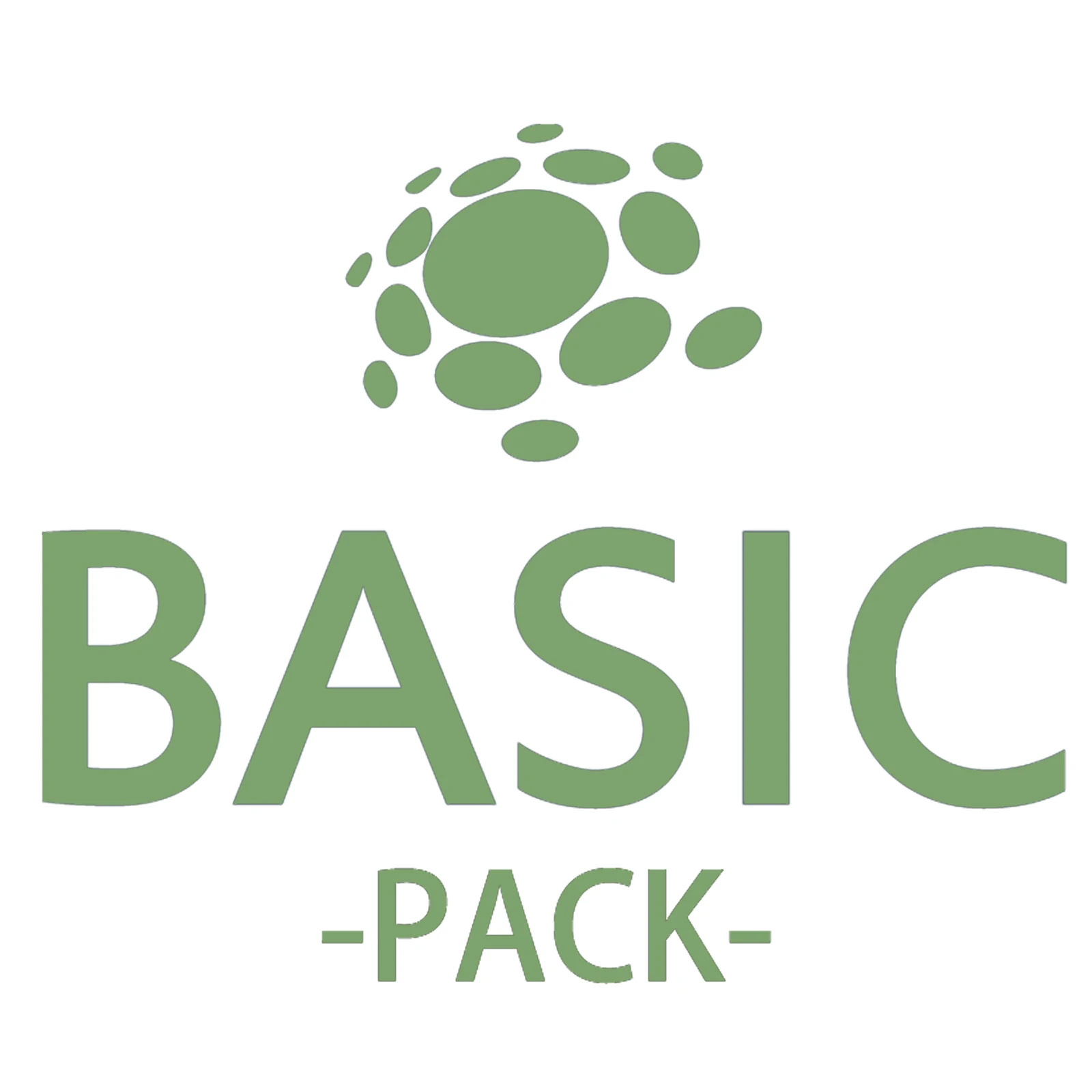 Company Overview - Guangzhou Basic Packaging Materials Co., Ltd.
