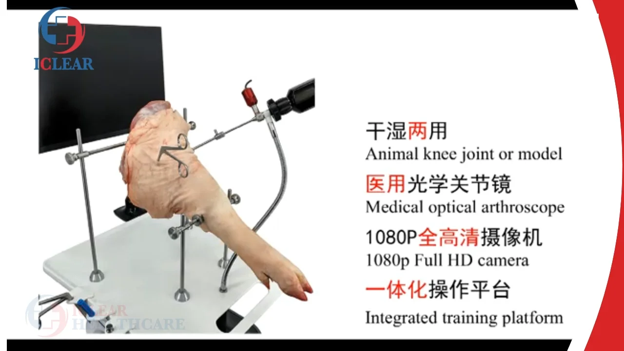Wet And Dry Integrated Knee Arthroscopic Surgery Simulator - Buy ...