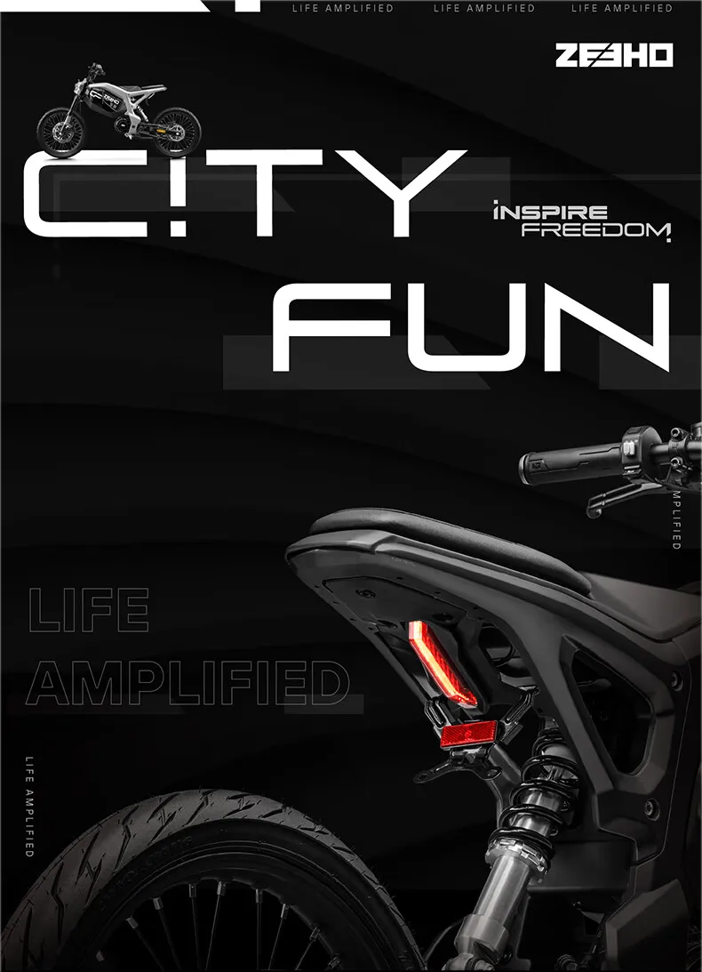 ZEEHO 2023 E Bike - City Fun 48V 25AH Pedal Kit E Bicycle