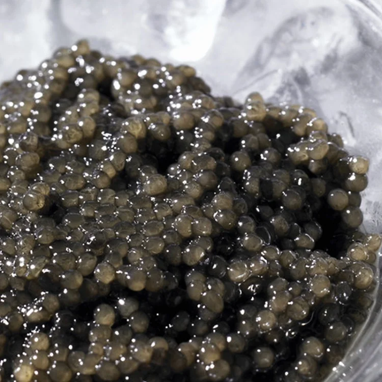 High Quality Precious Sturgeon Roe Osetra Caviar Delivery By Plane ...