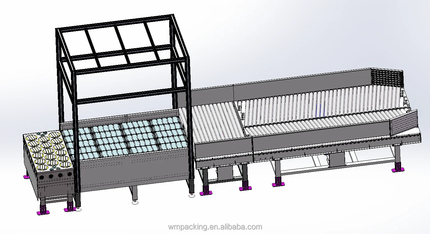 Parcel Singulation and Sorting System - High Capacity & Efficiency