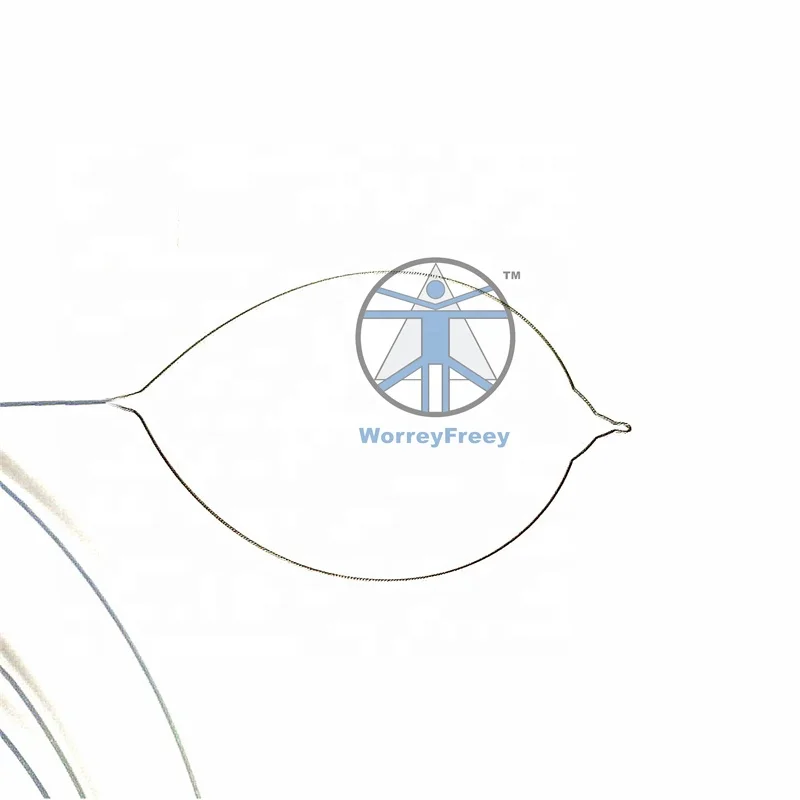 Disposable Instrument Polypectomy Snare - Endoscopic Snare