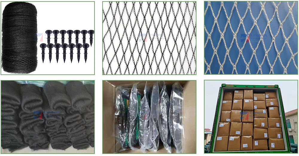 Low Cost Bird Mesh Netting for Green House Uv Agricultural Anti Bird ...