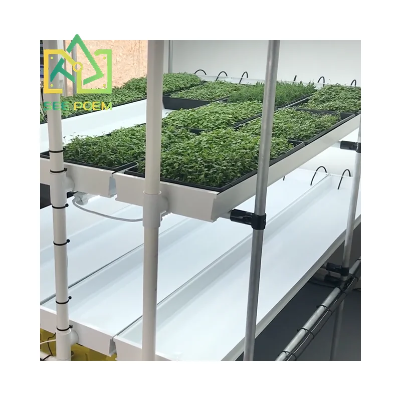 Microgreens Grow Kits Trays Stand Hydroponic Growing System