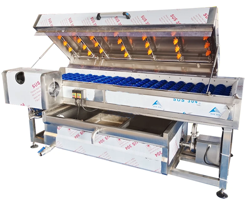 Multifunctional Spray Roller Cleaning Machine Groundnut Potato Peeling ...