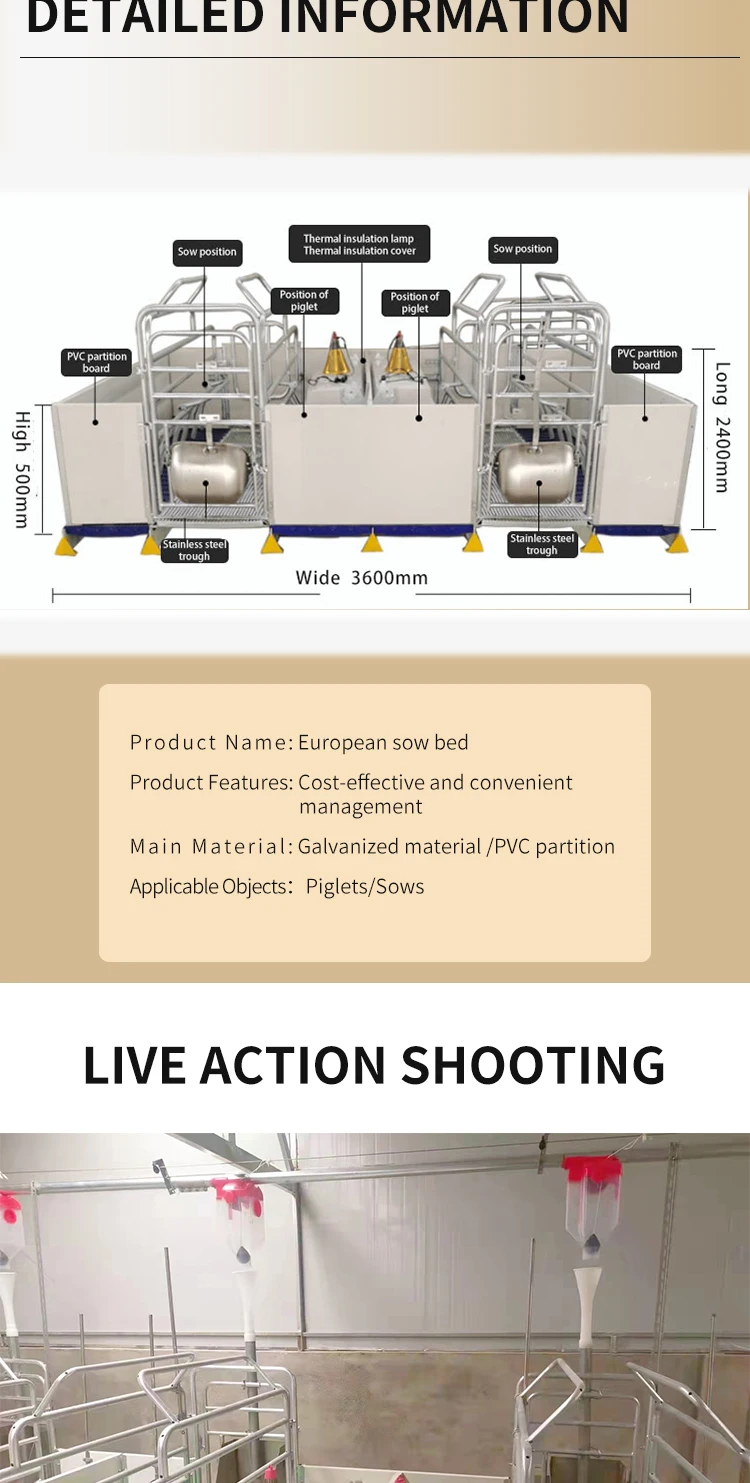Pig Farm Equipment - European Double Birth Bed with Warranty