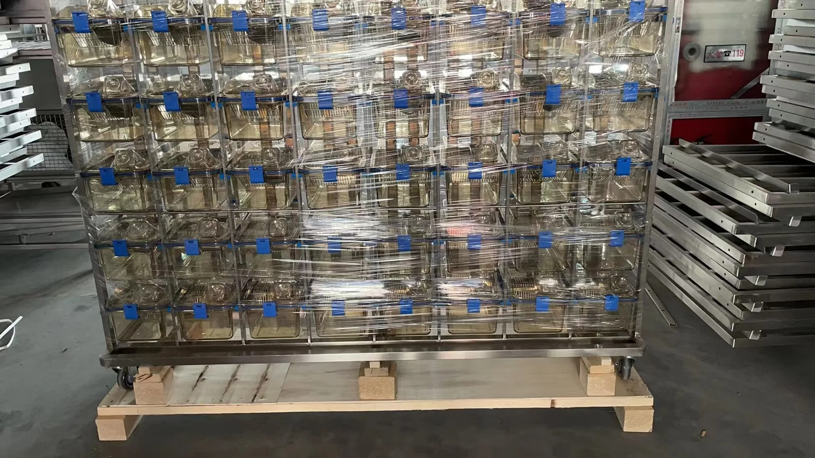 Lab Animal Equipment Touchscreen Control Individually Ventilated System ...