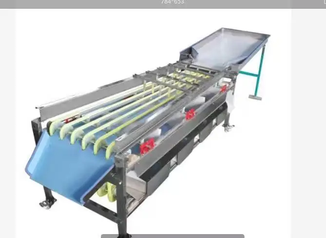 Plum Fruit Sorting Grading Classifying Machine Fruit Sorting Grading Machine Sorter Grader ...