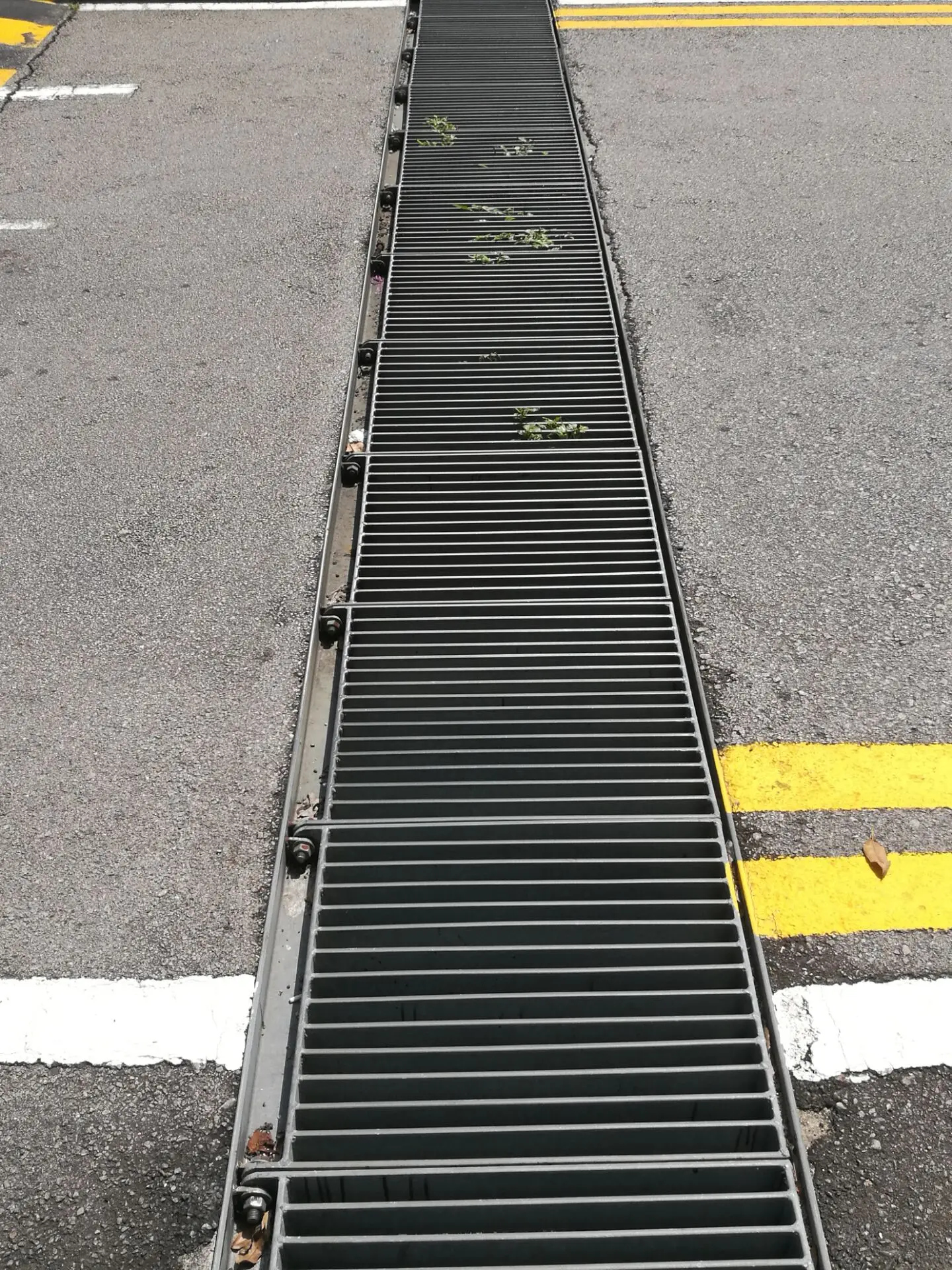 HDB Hinged Sump Drain Grating 300 X 600mm - Durable & Efficient