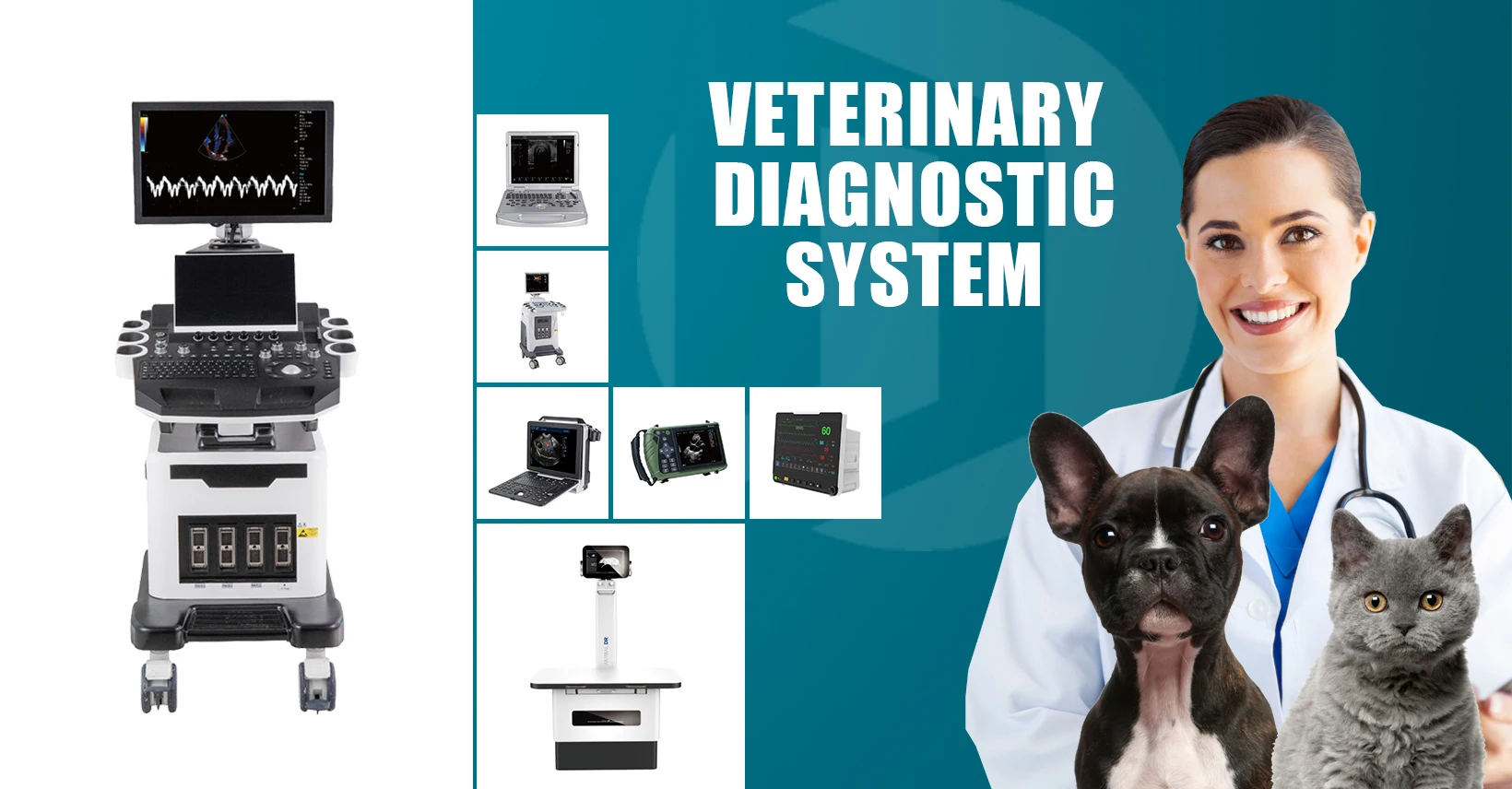 De06-vet Veterinary Electrocardiogram Ecg Interpretation Ventricular ...