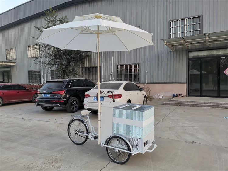 Commercial Ice Cream Cart Freezer Bicycle for Sale