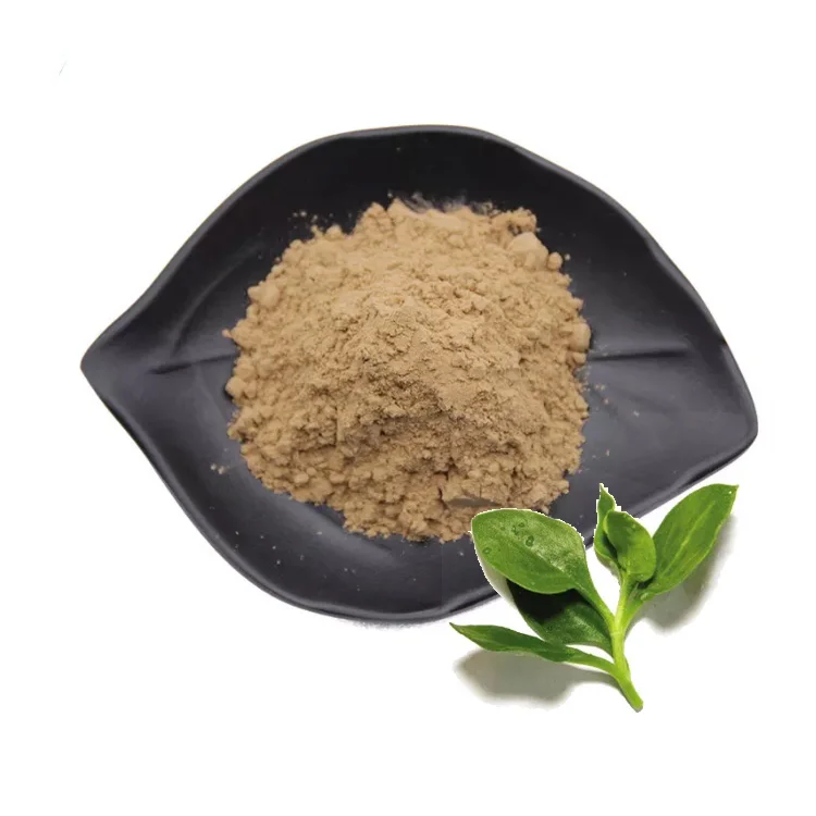 Wholesale Bulk Andrographis Paniculata Extract 10%-98% Andrographolide ...