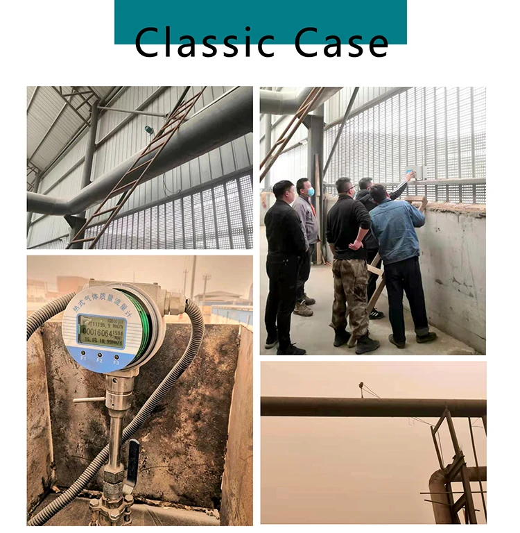 Smart Modbus Remote Thermal Gas Mass Flow Meter Dn20 Thread Type with ...