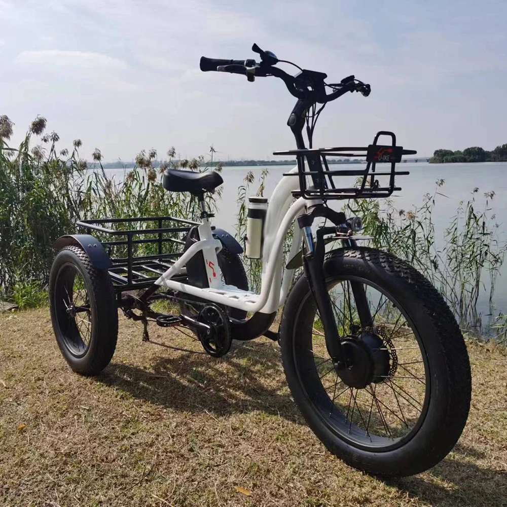 Three Wheel Electric Cargo Tricycle Disc Brake for Front Other ...