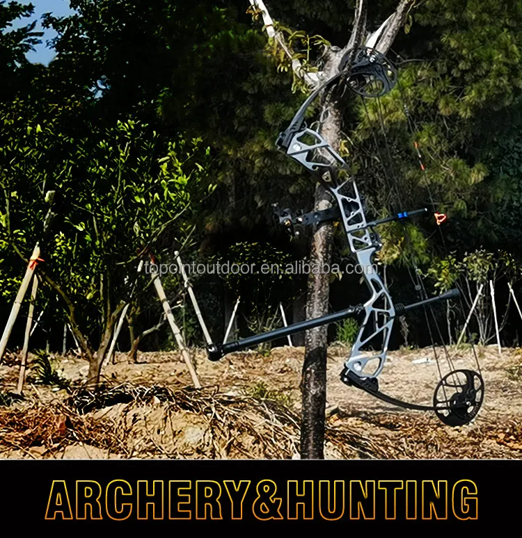 Topoint Archery T1 Target Compound Bow - Precision & Power